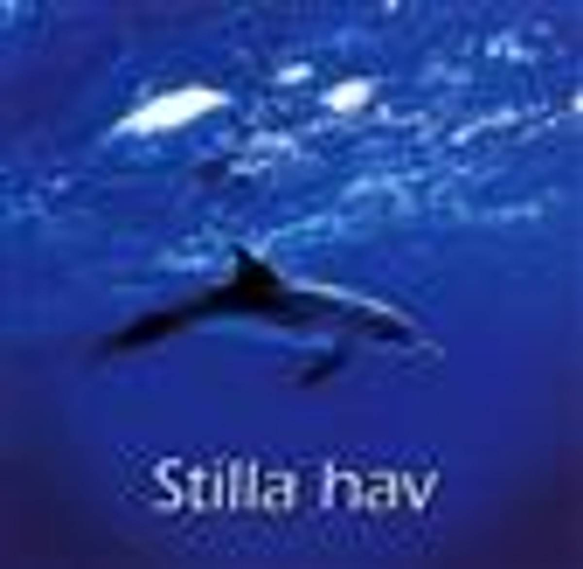 Stilla Hav - Powermaxx.no